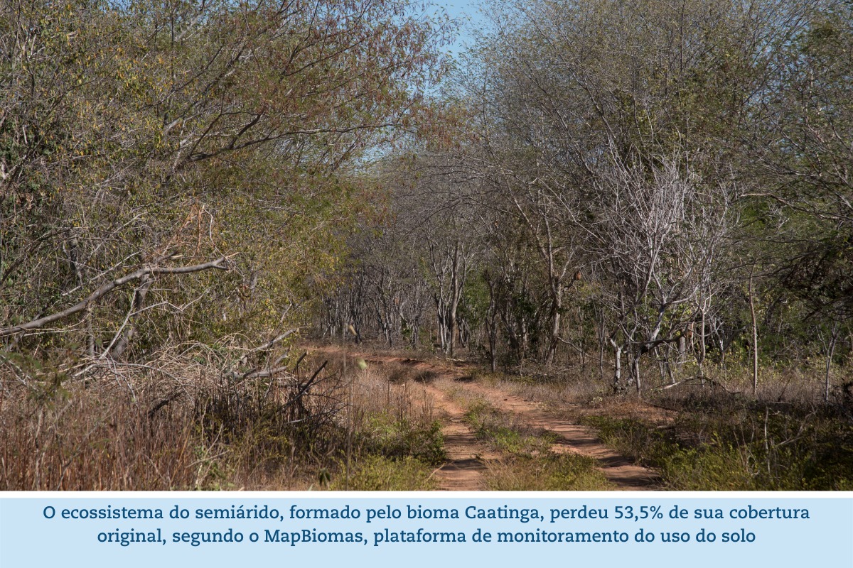 Semiárido é uma das áreas que mais sofre com as mudanças climáticas ...