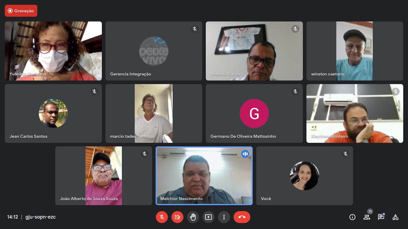 CTPPP cria grupo de trabalho para avaliar minuta de resolução do CNRH ...